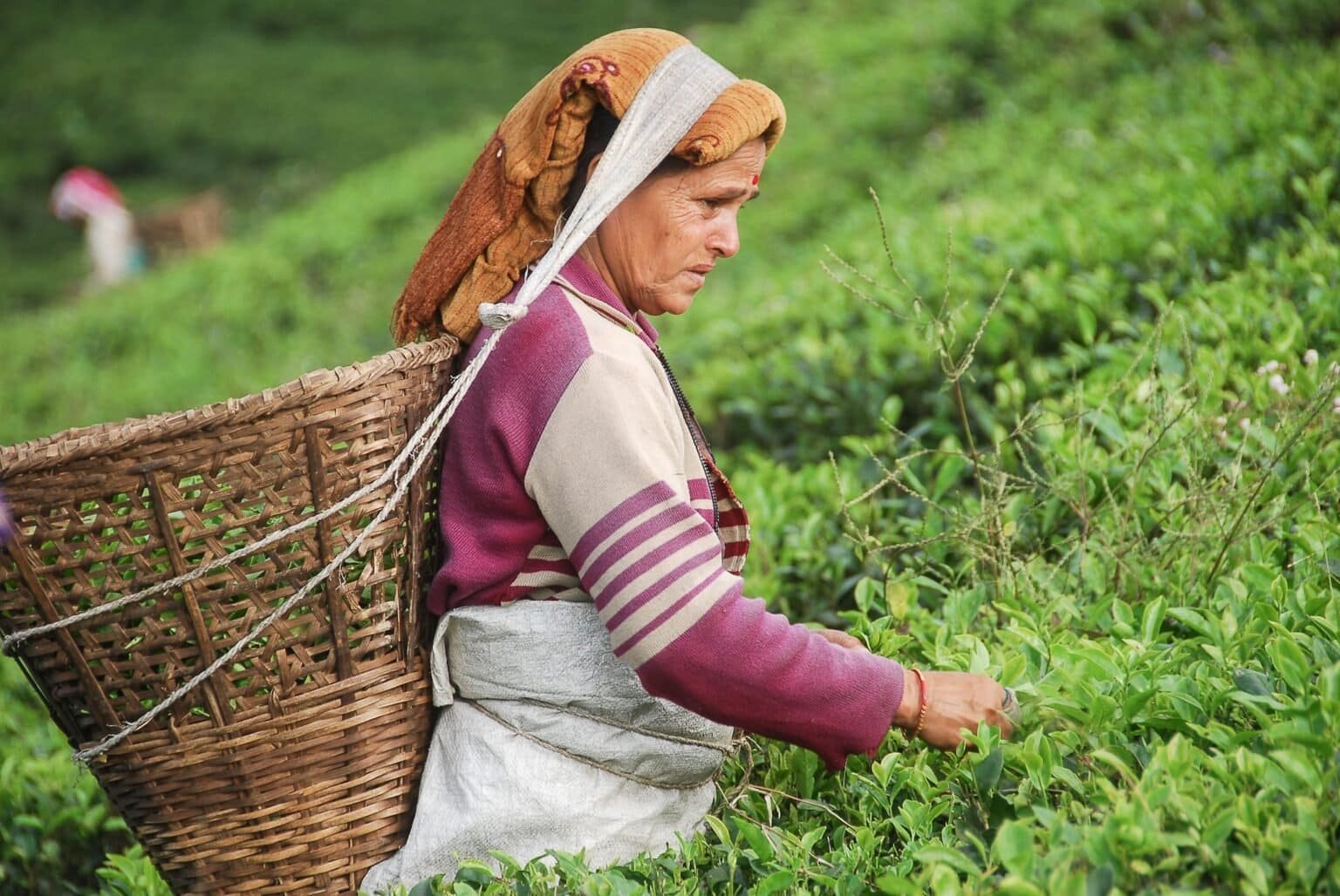 Nepál: zajímavosti, horské treky a památky, které musíte navštívit